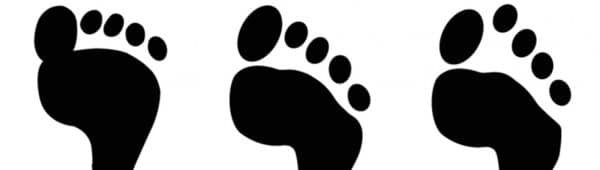 Victor A970Ace review: a new king of all-around performance?