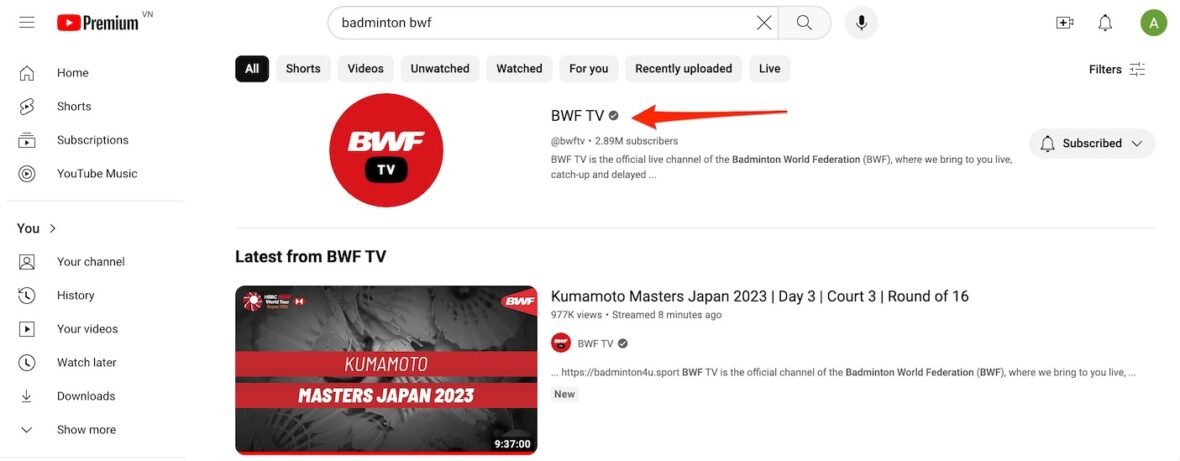 Badminton live streaming: the easiest way I know how - Beast Badminton