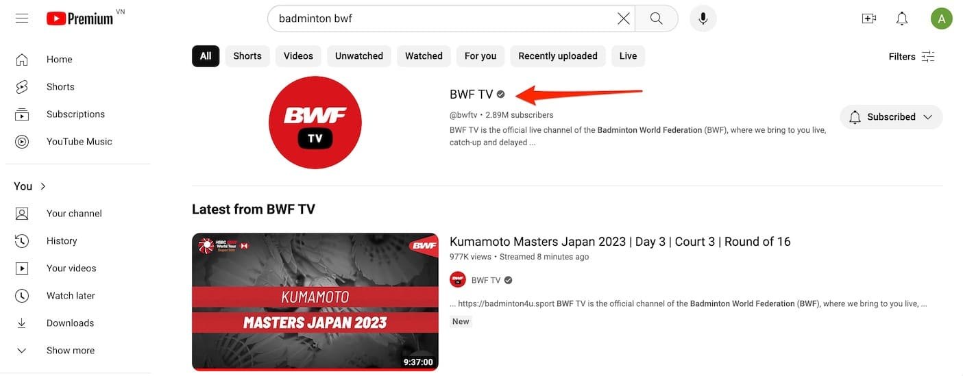 Badminton live streaming: the easiest way I know how - Beast Badminton